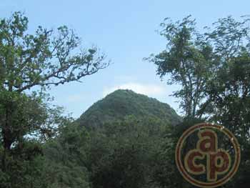 En etapa de exploración la veta de oro de Actopan y Alto Lucero: Goldgroup - Al Calor Político