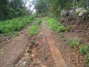 En etapa de exploración la veta de oro de Actopan y Alto Lucero: Goldgroup - Al Calor Político