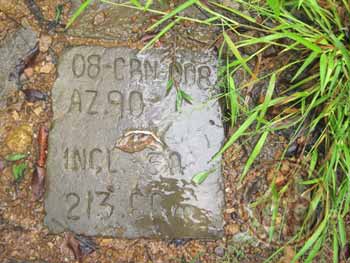 En etapa de exploración la veta de oro de Actopan y Alto Lucero: Goldgroup - Al Calor Político