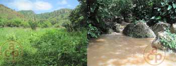 En etapa de exploración la veta de oro de Actopan y Alto Lucero: Goldgroup - Al Calor Político