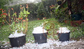 Sorprendió en Orizaba una fuerte granizada la tarde del viernes - Al ...