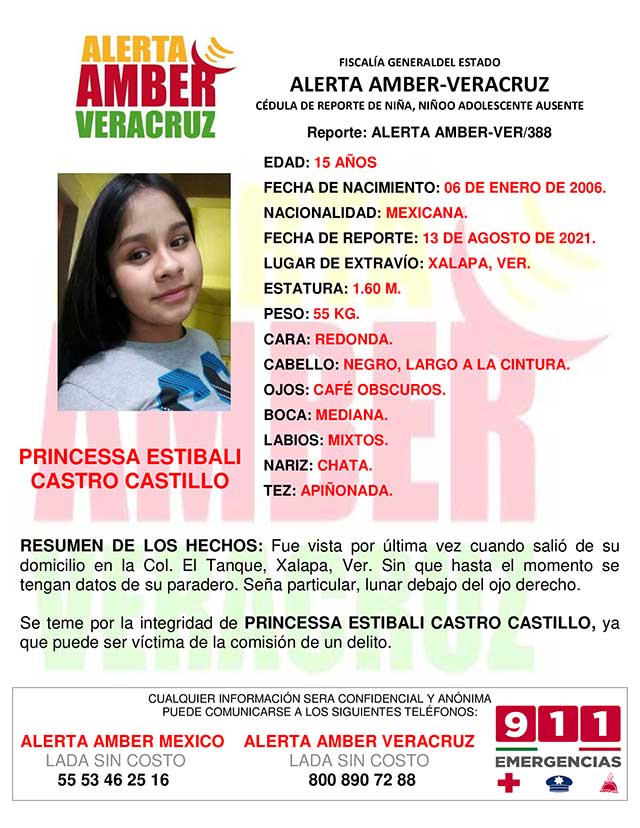 Alerta Amber Veracruz - Princessa Estibali Castro Castillo - Al Calor ...