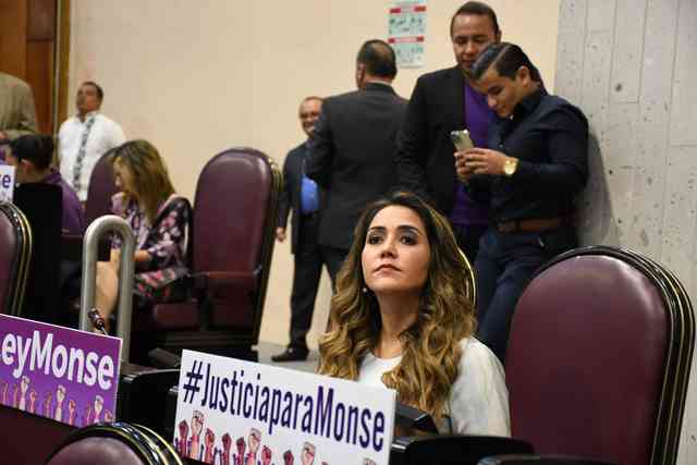 Ley Monse para Veracruz “es perfecta”, dice Diputada que la impulsa ...