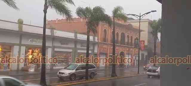 Sorprendió intensa lluvia, en Orizaba; tiró árboles - Al Calor Político