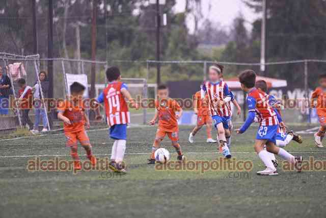 Pidió DADUV a Rectoría UV que salgan las escuelas de futbol infantil ...