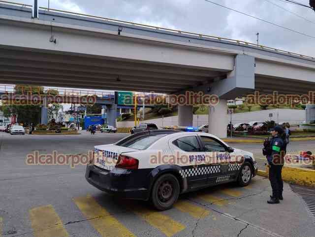 Podan árboles en el centro de Xalapa - Galería - alcalorpolitico.com