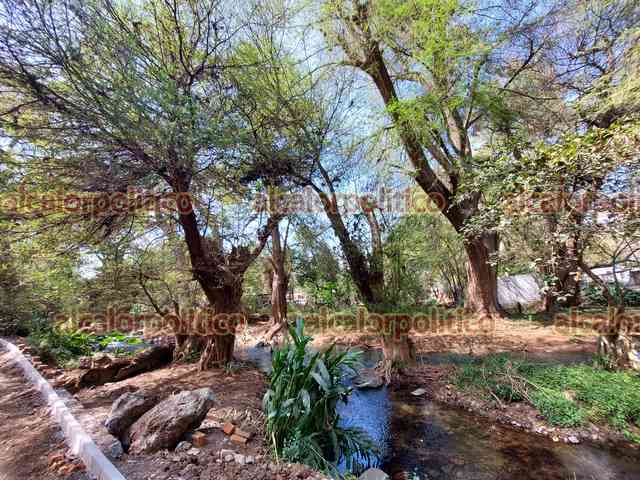Rehabilitarán Ecoparque "La Ciudad de los Ahuehuetes”, en Mendoza - Al ...