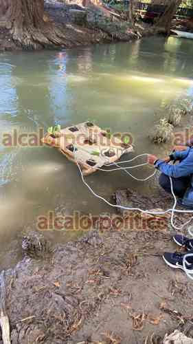 Destaca el Parque de los Ahuehuetes de Mendoza en artículo de ...