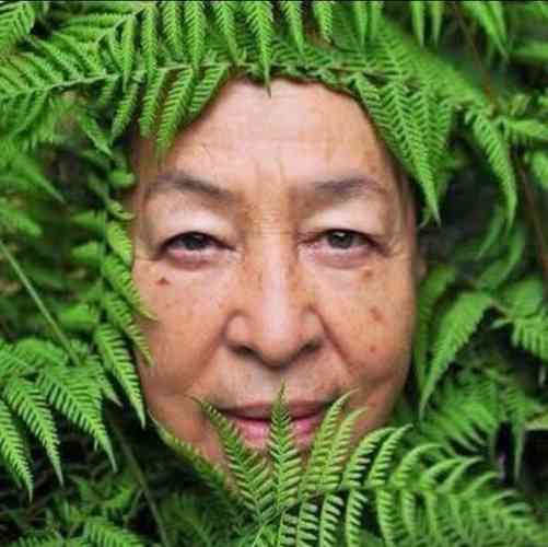 Galería Flavia homenajeará a la artista Rocío Sagaón, este miércoles ...