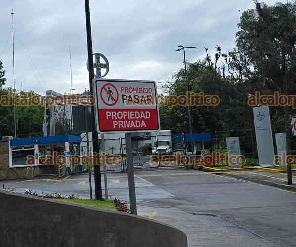 Invertirá BAYER 3 mil mdp para expandir planta de Orizaba, confirma ...