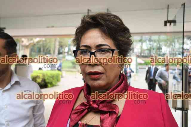 Delia González espera que entrega-recepción en alcaldías cumpla con ...